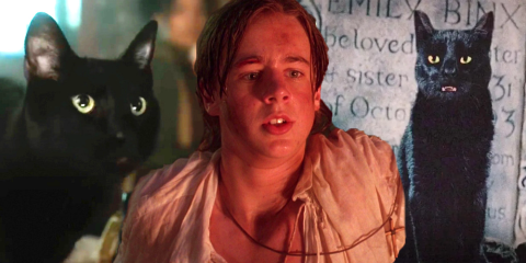 Hocus Pocus Secrets Revealed - Bootleg Betty
